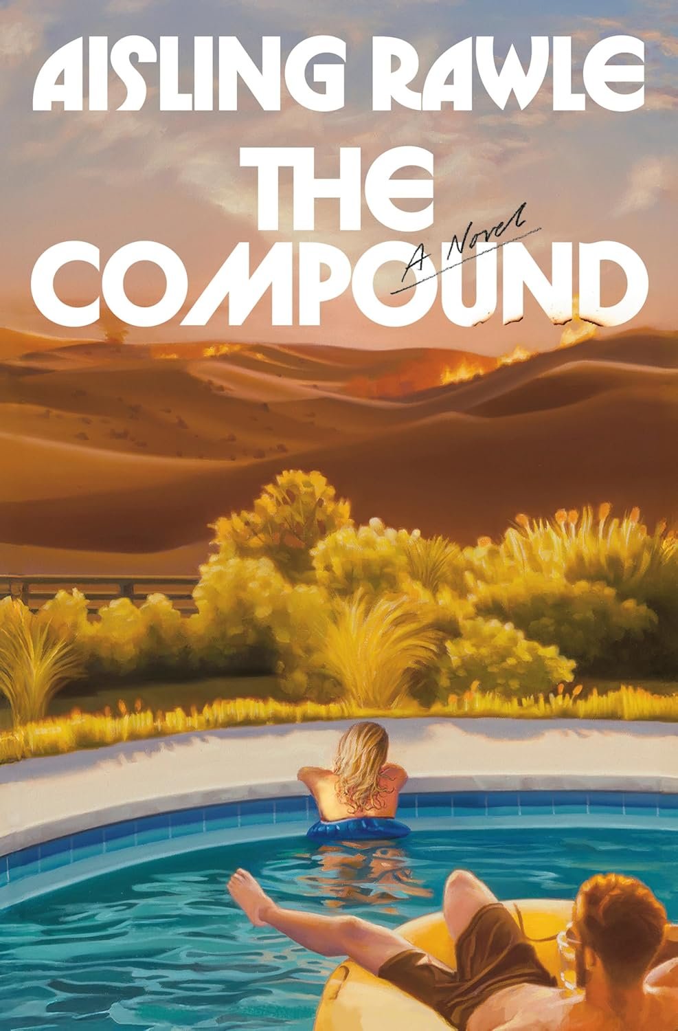 Book Review of The Compound - Turn the Page